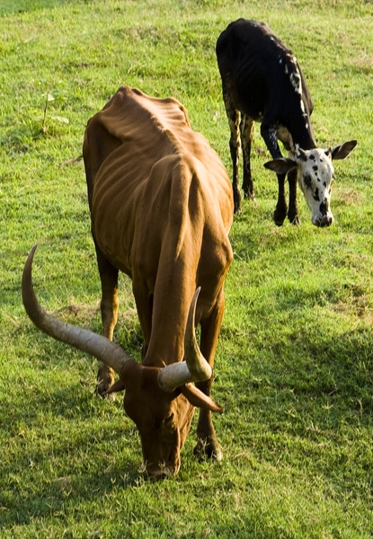 Bujumbura, Burundi - Images (Photos) by Bibi Eng